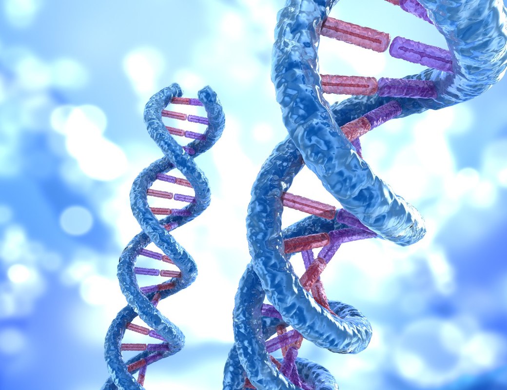 Medical CGI | 2D 3D Animation | Imagery | Interactive